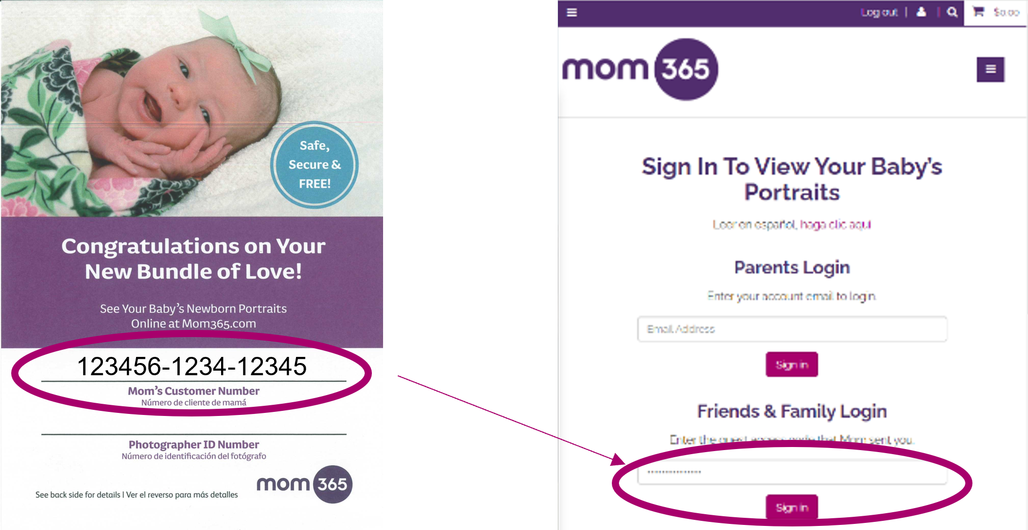 Email Not Found – Mom365